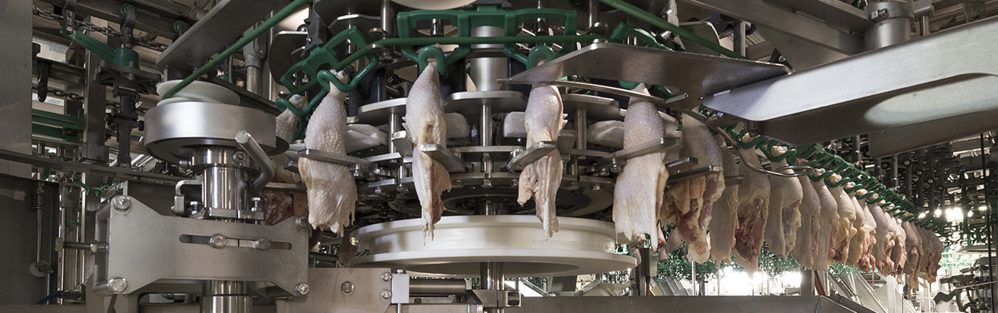 Meyn | Drum Thigh Seperator