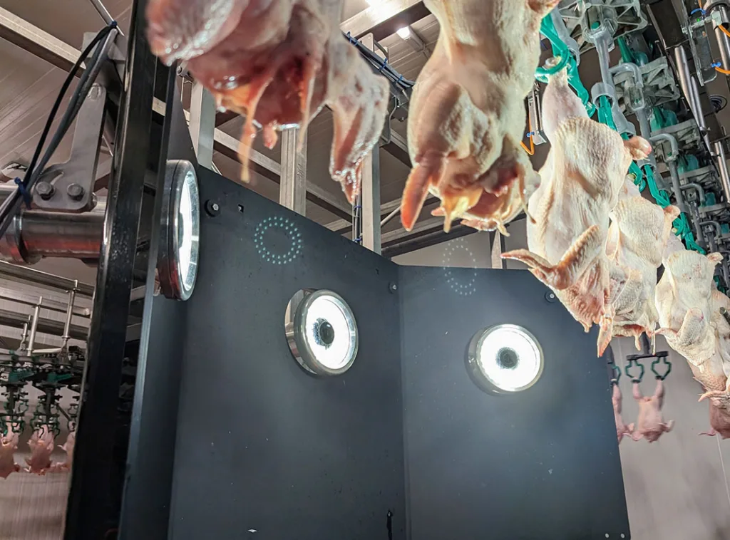 Meyn | Multi Vision Quality Grading